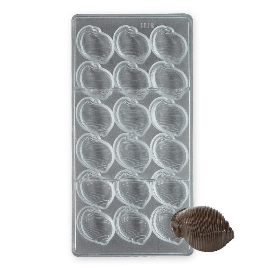 Conch Polycarbonate Chocolate Mold — NYCake.com